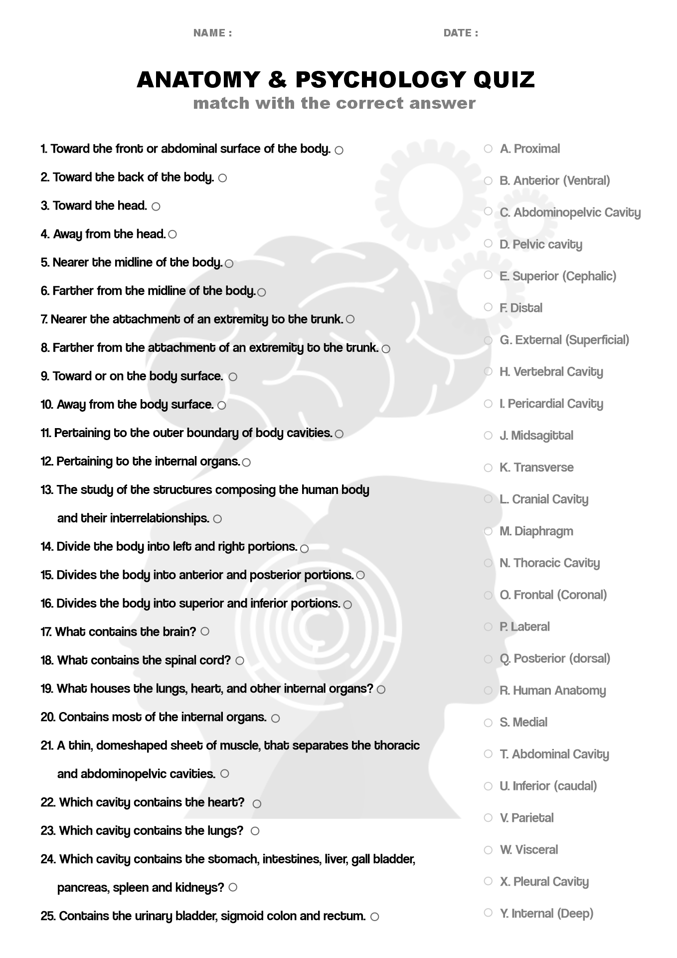 5 Best Images Of Printable College Anatomy Worksheets Anatomy And 