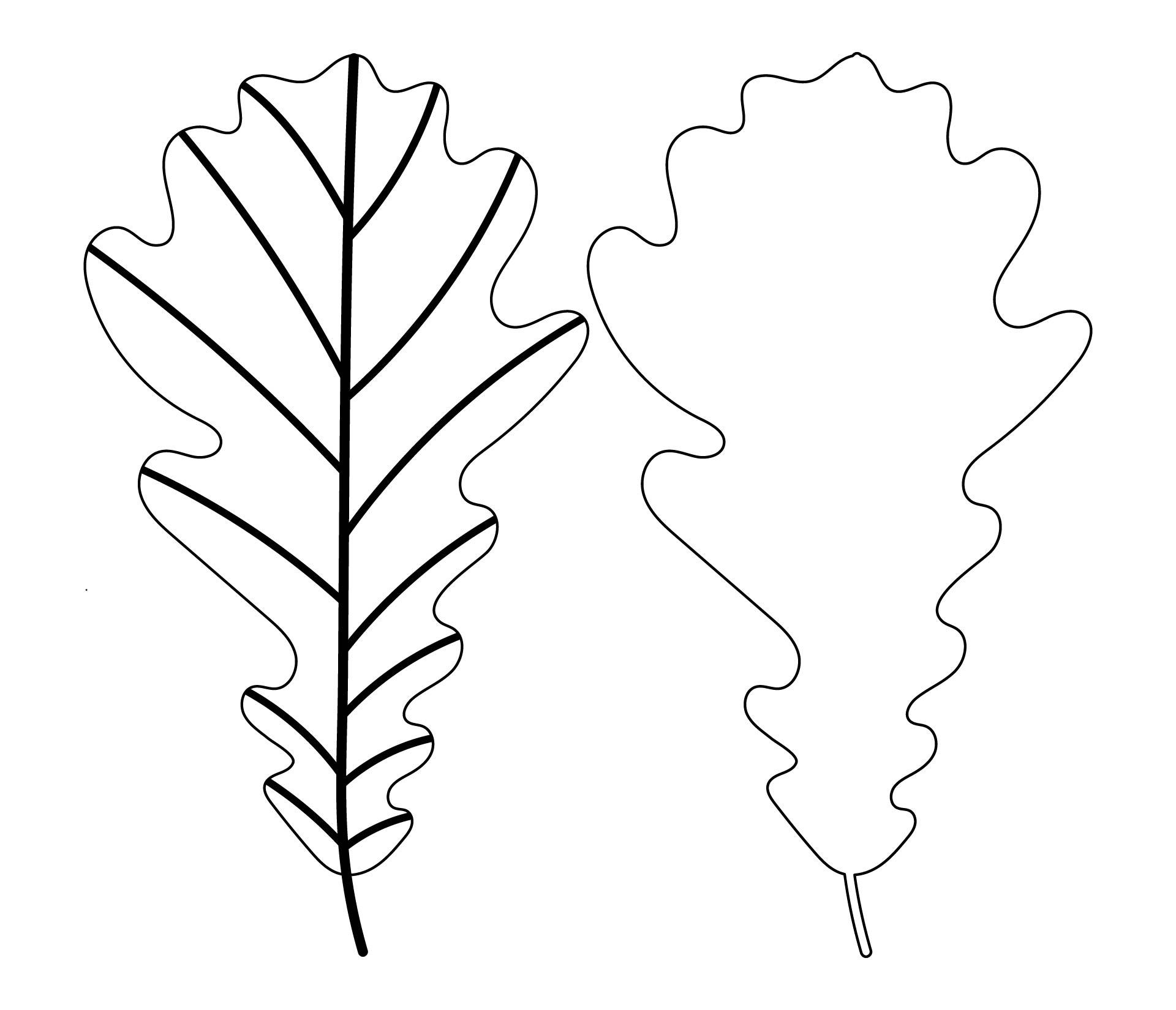 Oak Leaf Template Printable Printable World Holiday