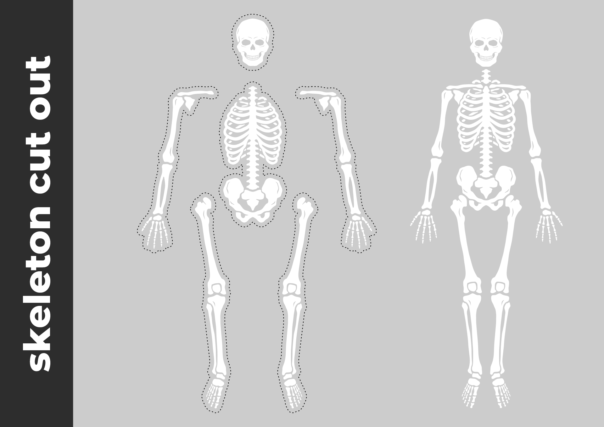 Large Printable Skeleton Printable Word Searches