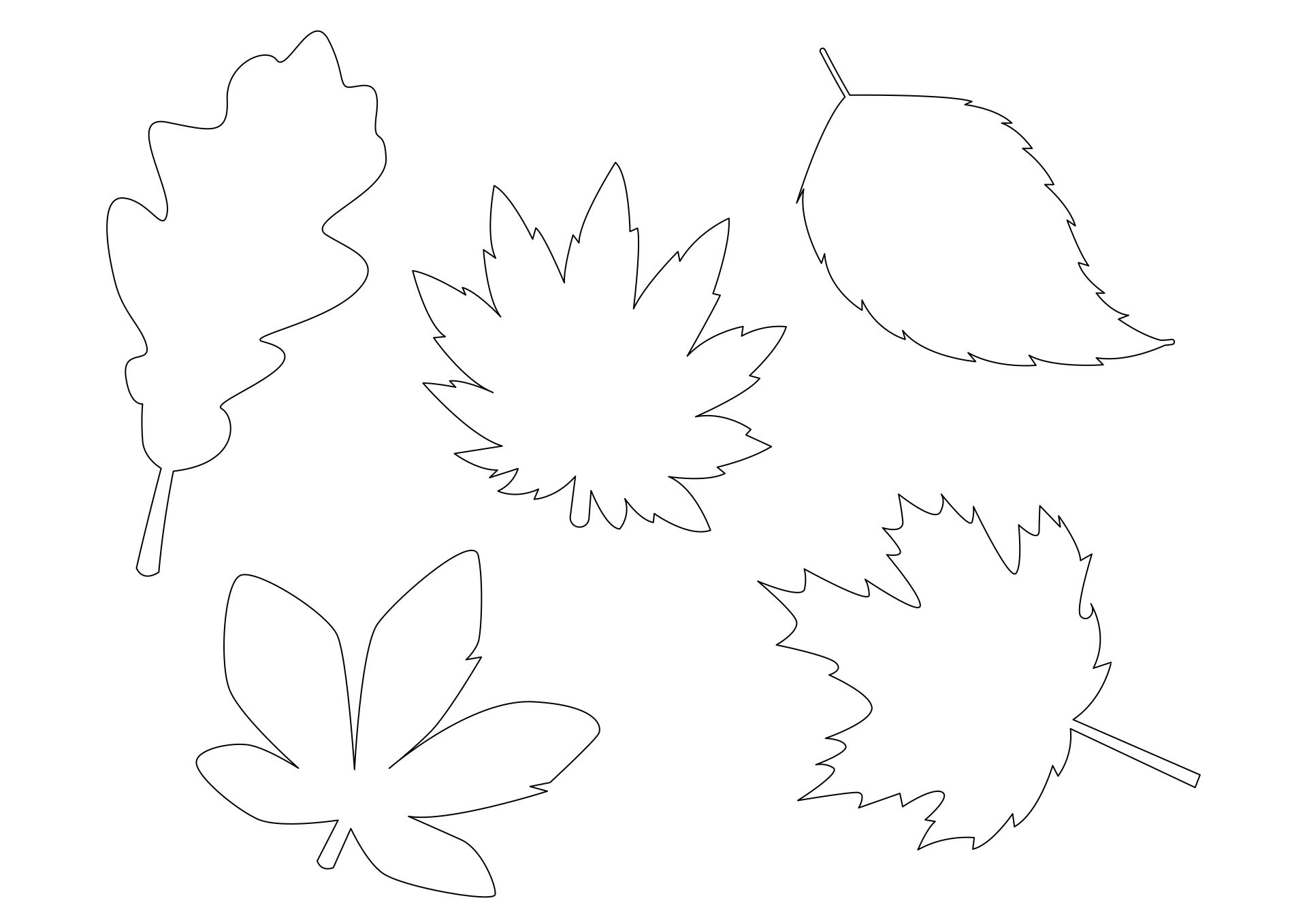 Printable Picture Of A Leaf