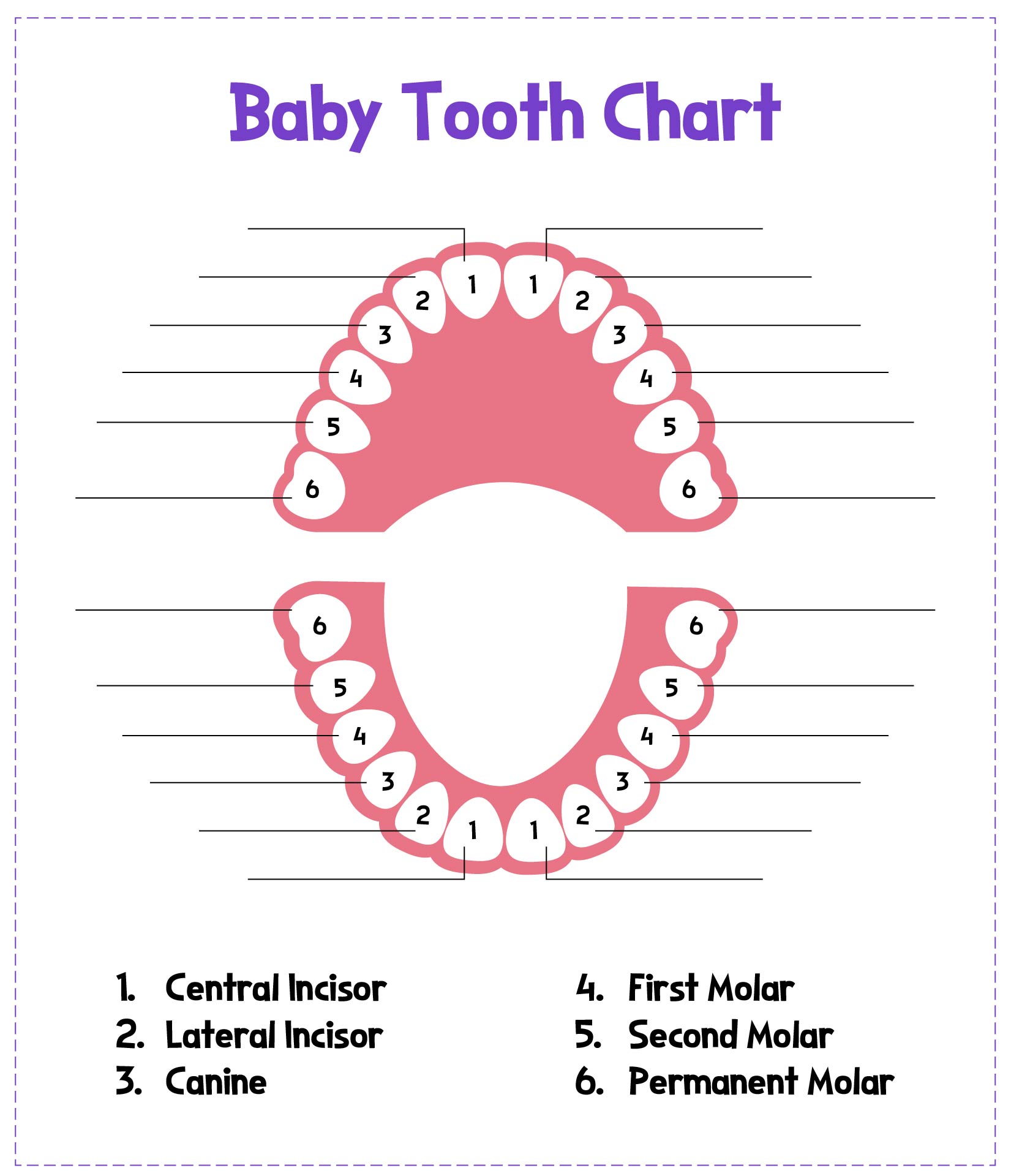 Printable Dental Charting Printable World Holiday