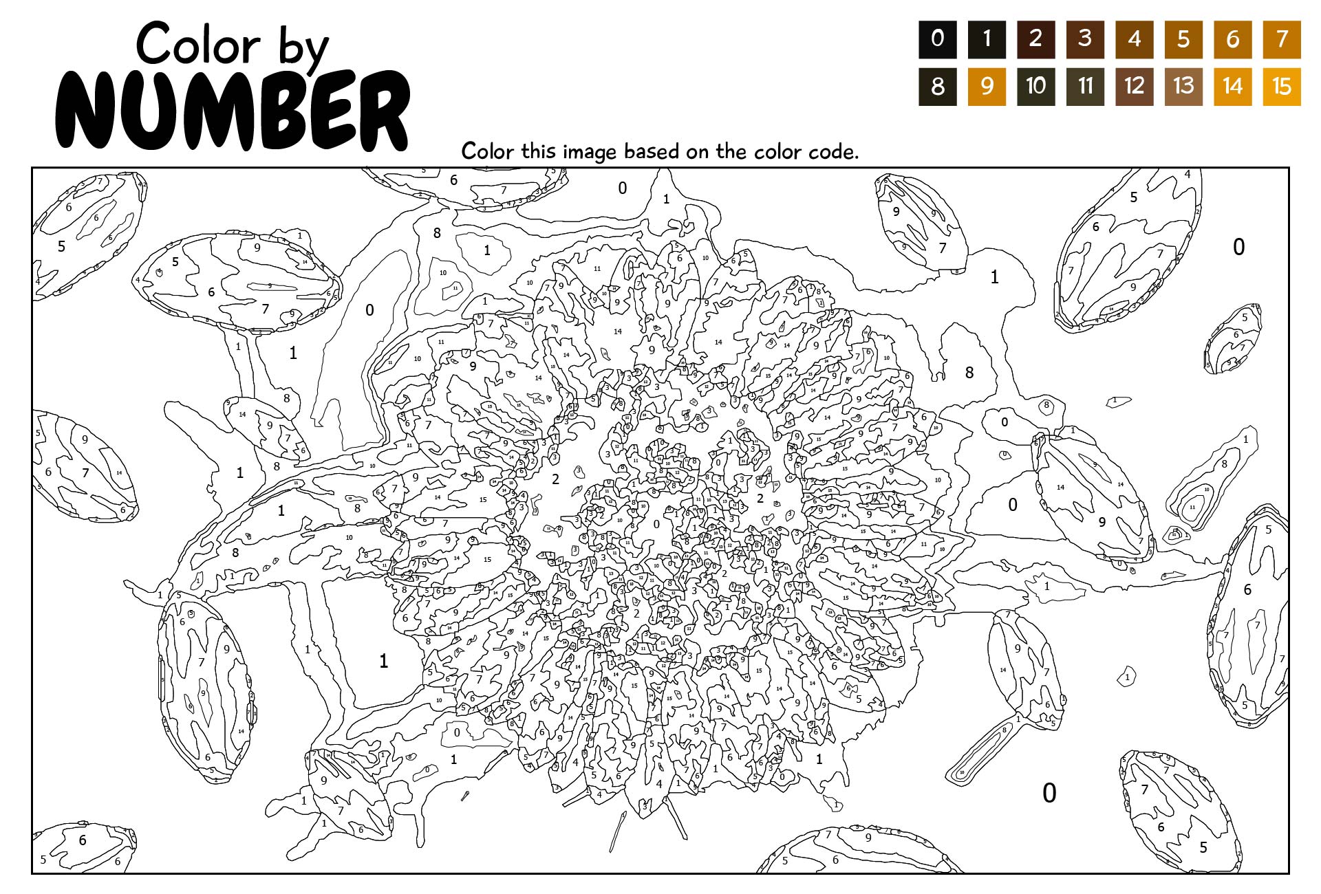 Color By Number Difficult Printable
